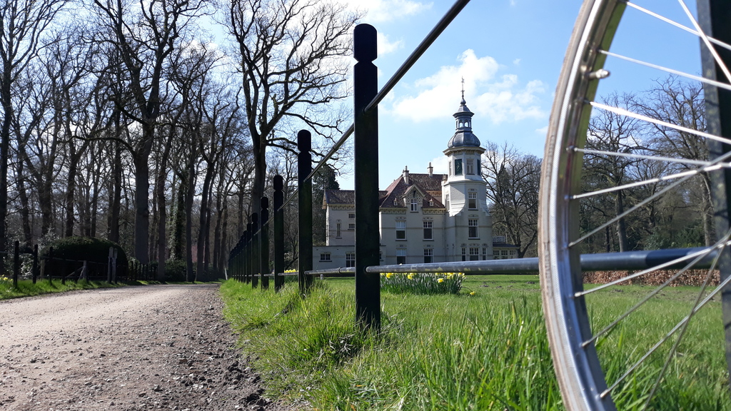 Eiland in het bos - Dorpsdichter Putten